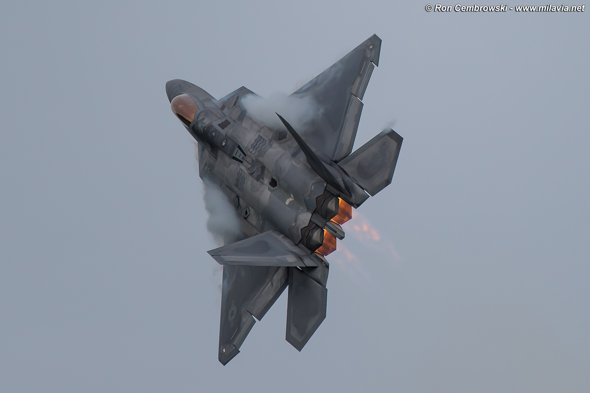 MILAVIA Air Shows - Airshow London 2018 - London International Airport ...