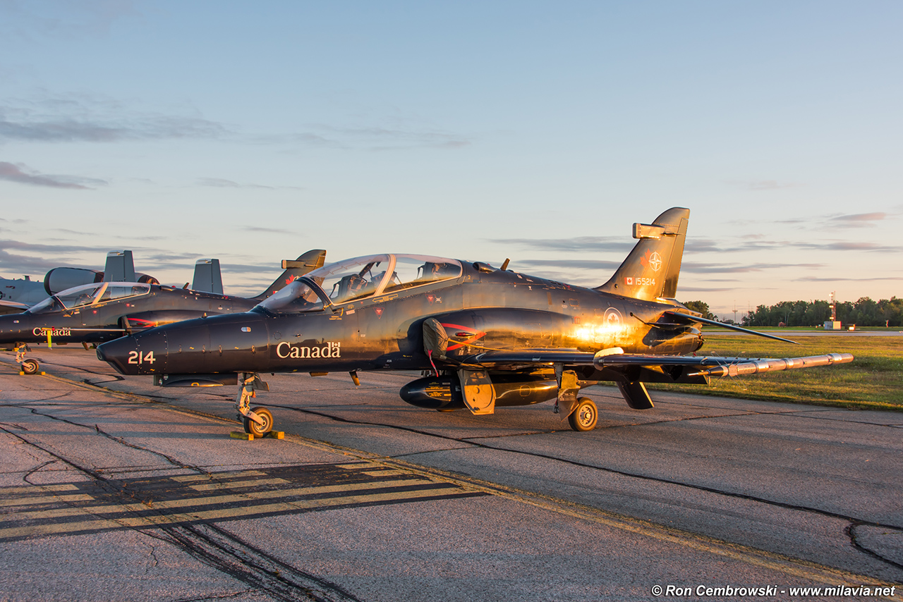 MILAVIA Air Shows - Airshow London 2019 - London International Airport ...