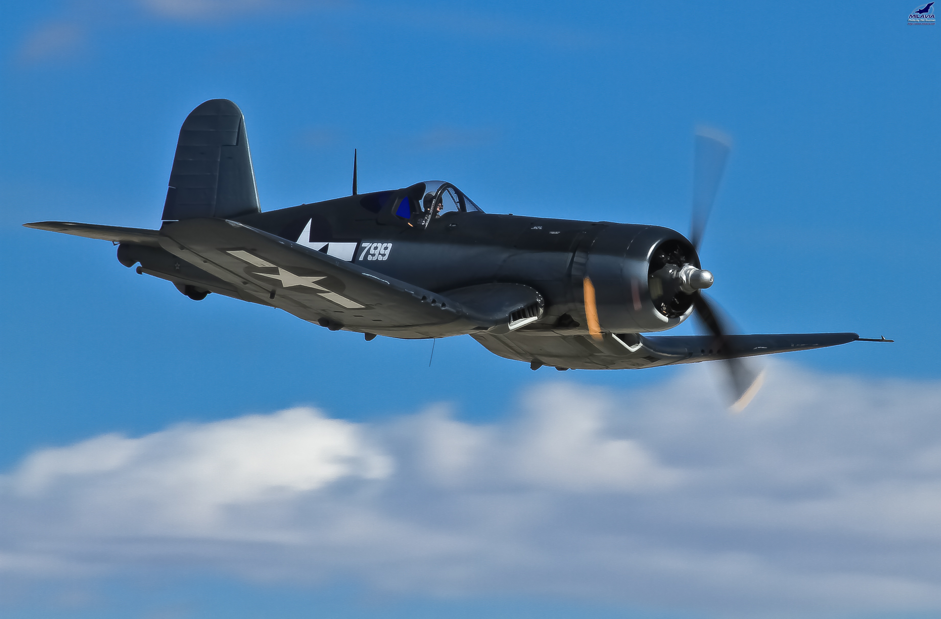 MILAVIA Portfolios - Tim Guzman