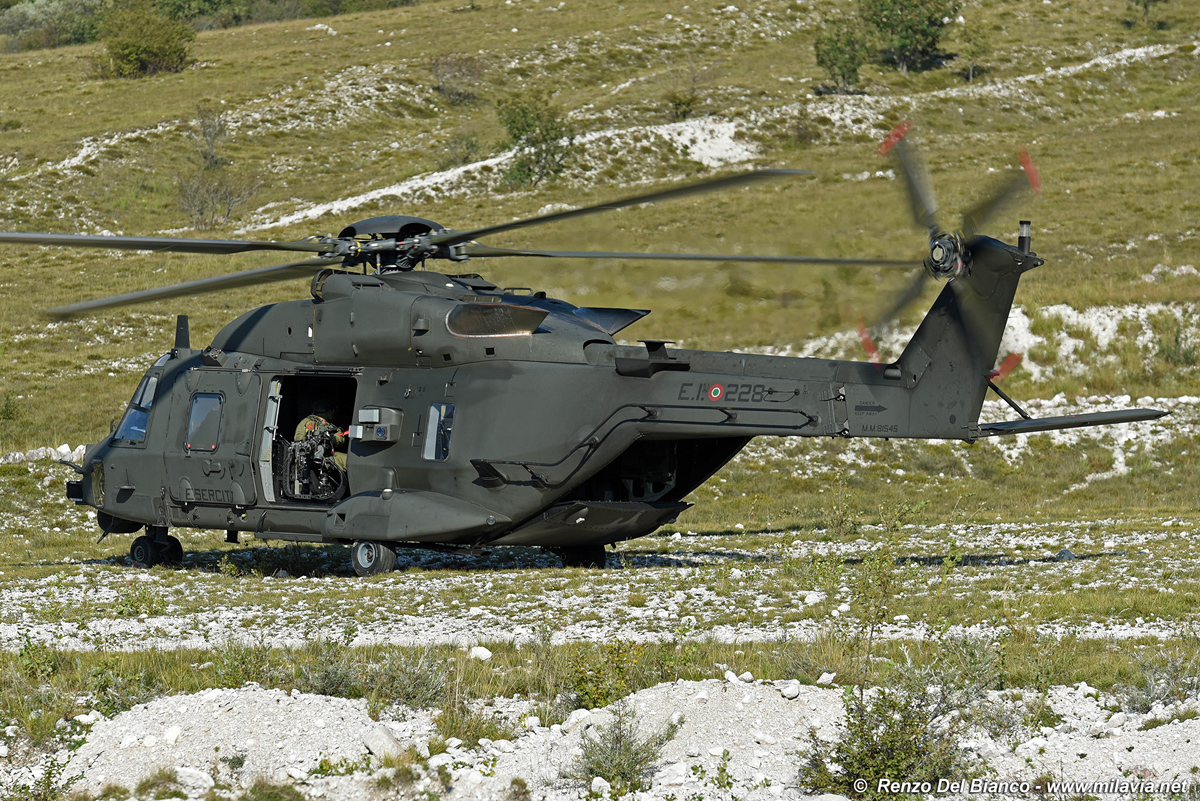 Italian Army Airmobile Permanent Training II/2020 Exercise - Rivoli ...