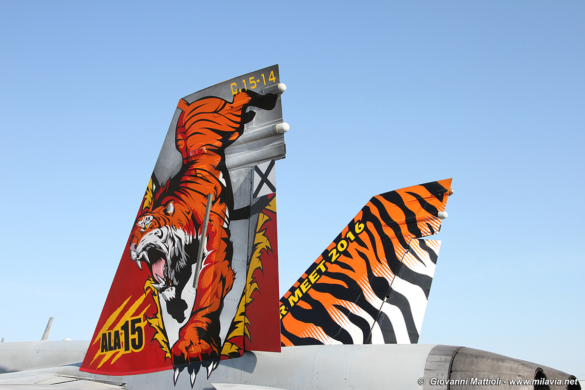 MILAVIA Military Aviation Specials - NATO Tiger Meet 2016 - Zaragoza, Spain